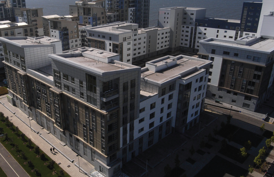 About The Element Factors - The Element Factors